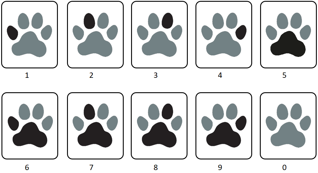 Dog Paw - Geocaching info